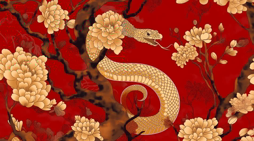 Spend More, Save More!