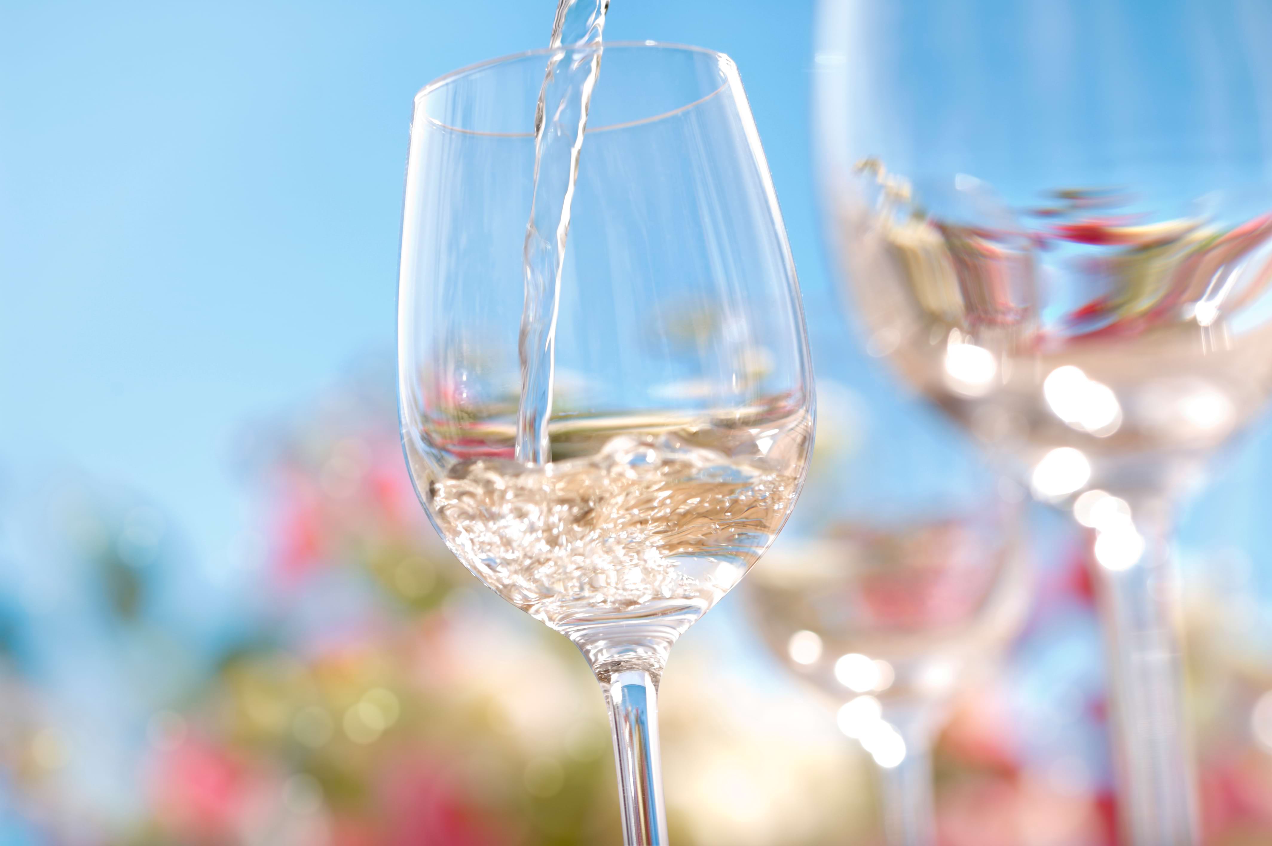 Finding the best budget Pinot Grigio: A wine lover's guide