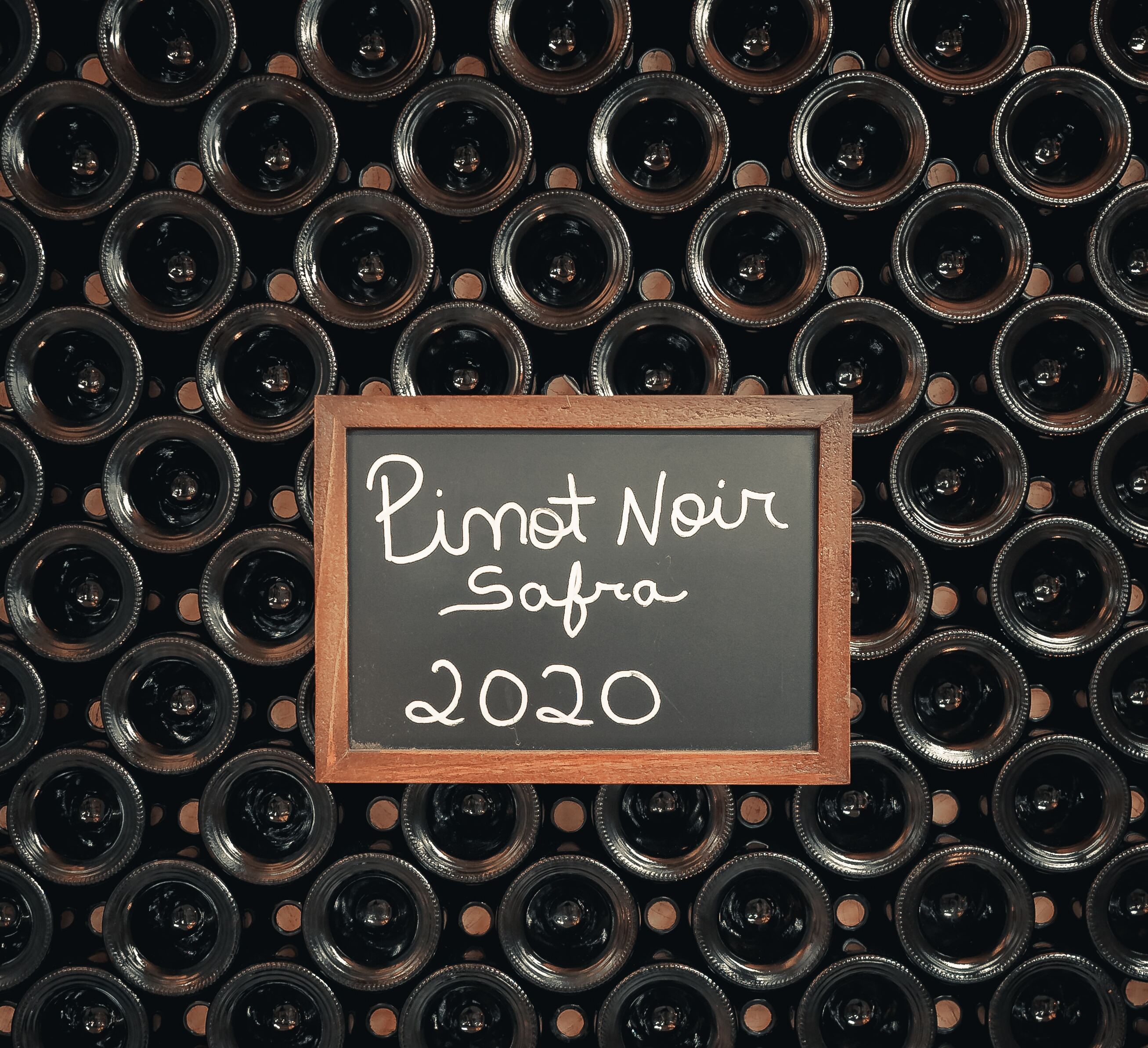 The ultimate guide to French Pinot Noir
