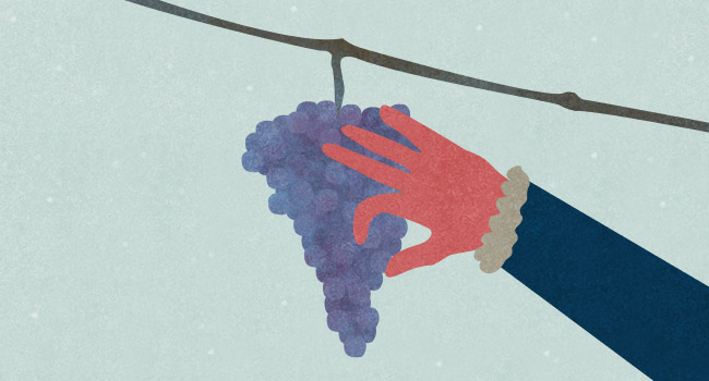 What are ice wines and how are they made?