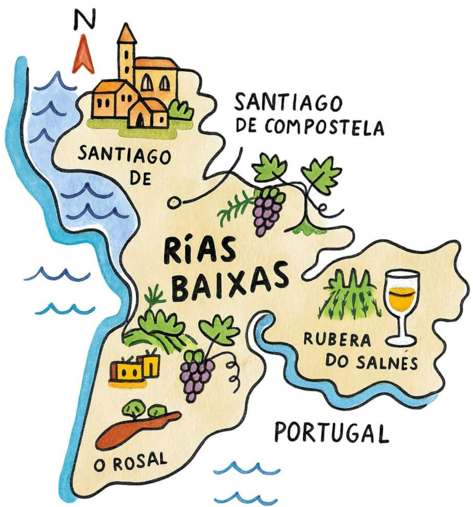 Rías Baixas – Where the Sea meets the vines